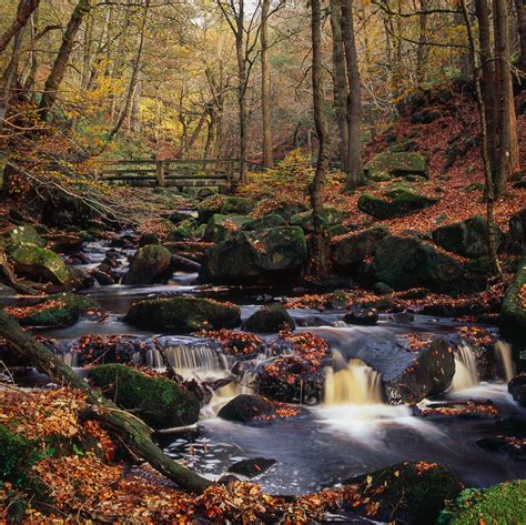 How To Get To Padley Gorge Peak District And Uk Landscape Photography