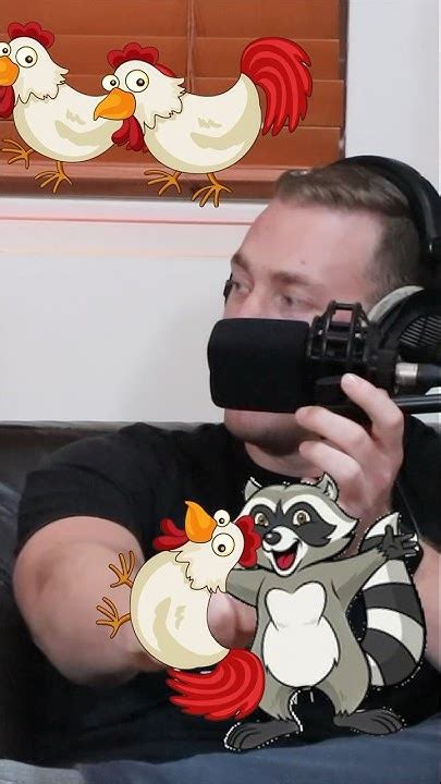 Headless Chickens Youtube