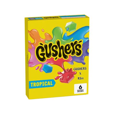 Tropical Gushers Gushers X Rs11 Fems Slg