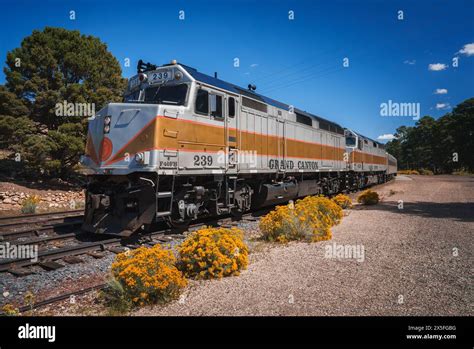 Grand Canyon Railway Silver And Orange Locomotive Train Number 239