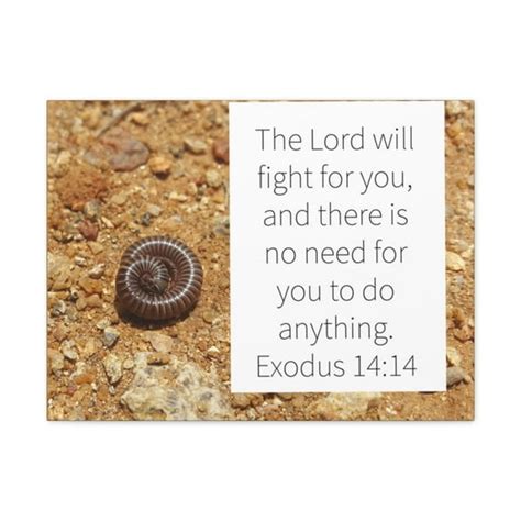 Scripture Walls Fight For You Exodus 14 14 Bible Verse Canvas Christian
