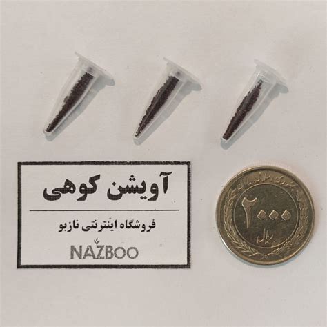 نازبو بذر آویشن کوهی یا اورگانو