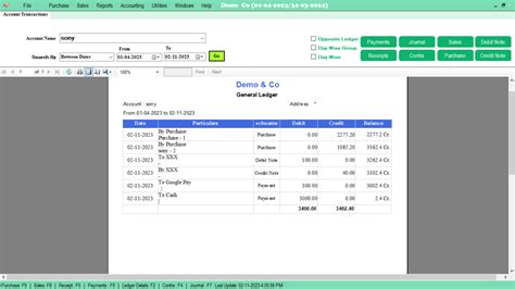 Individual Ledgers Logicview Erp Billing Software