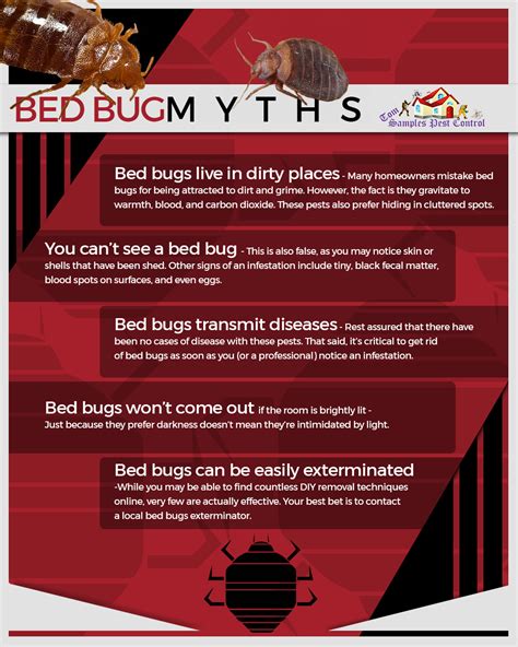 How To Stop Bed Frame From Making Noise At Katherine Roosa Blog