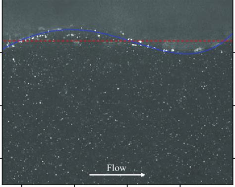 Piv Image With A Visible Wavy Fluid Surface Interface Fluid Flow From