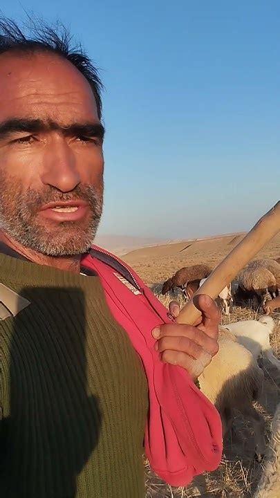 بوی گل و ریحان‌ها Youtube