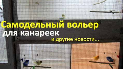 Вольер для канареек своими руками. Строим сами просторное жилье для ...