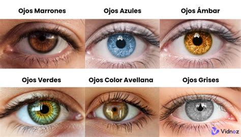 De Qué Color Son Mis Ojos Tests Gratis 100 Exacto