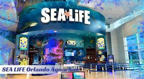 Top 12 Indoor Activities Orlando Fun For All Ages
