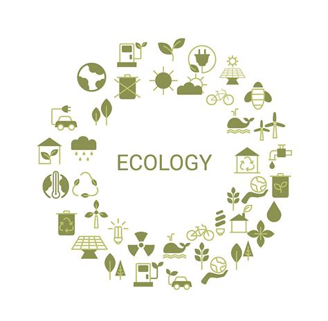 Basic Ecological Concept Classnotesng
