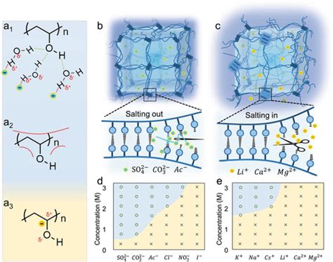 加州大学洛杉矶分校贺曦敏 上海交通大学朱新远《am》霍夫迈斯特效应，宽范围协调机械性能pva水凝胶 知乎