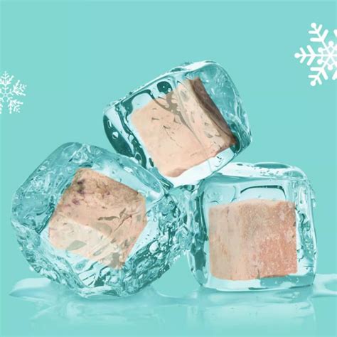 China Lsfd 55 Fd Diced Duck Liver Factory And Manufacturers Luscious