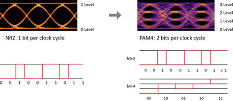Understanding Nrz Vs Pam4 Modulation Techniques Your Fiber Optic Solution Proline