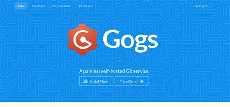 Top Github Alternatives For Code Collaboration