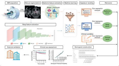 Workflow In This Study Mri Magnetic Resonance Imaging Download