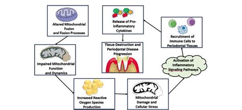 Tanta Dental Journal