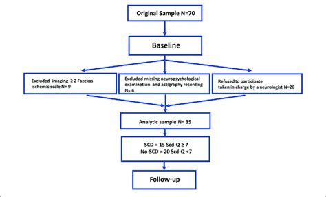Flowchart Describing Sample Selection Download Scientific Diagram