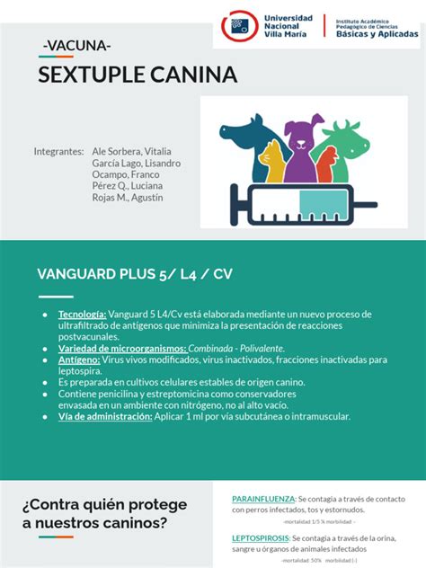 Sextuple Canina Pdf Virus Biología