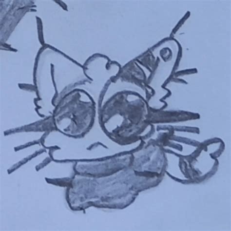 The Drew One Kitty 1 R Doctornowhere