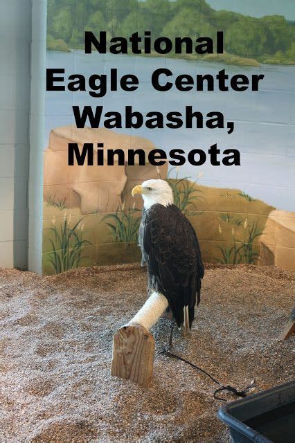 National Eagle Center In Wabasha Minnesota Minnesota Travel