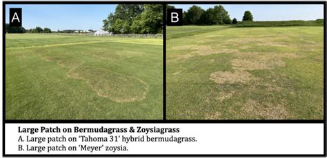 May 29 2023 Attention To Summer Disease Prevention Purdue