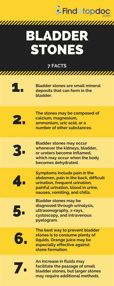 What Are Bladder Spasms And Can Bladder Spasms Be Treated
