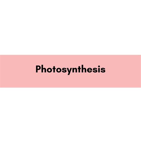 Photosynthesis Desirpm