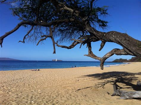 Big Beach Makena Maui