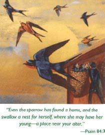 Consider The Birds Of The Air Reformed Worship
