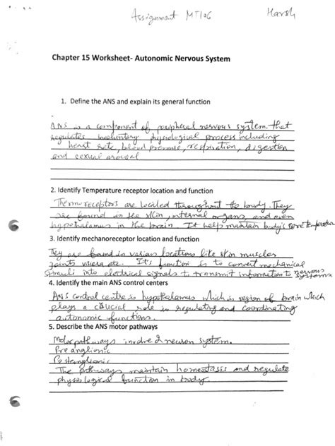 Brain Assignment Important Pdf