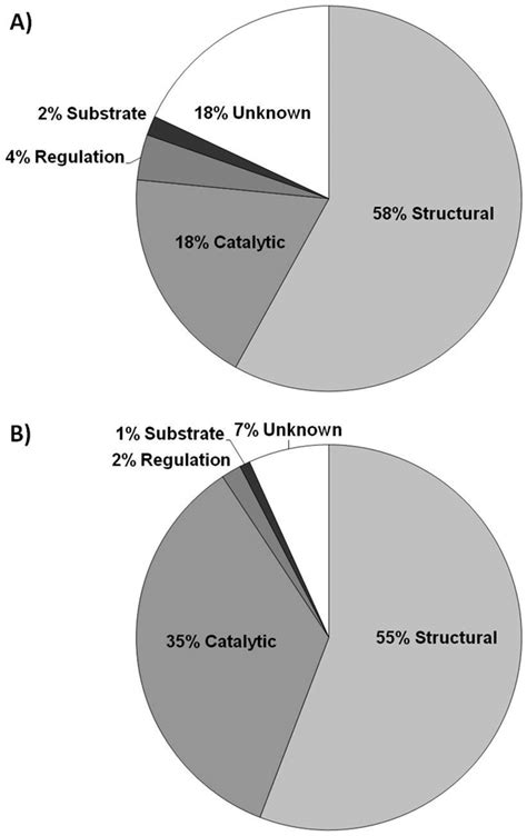 Pie Charts Showing The Functions Of Zinc Sites In A Zn Superfamilies
