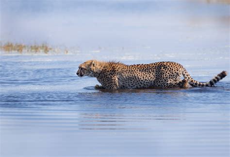 African Parks Happy Friday Photo Michael Lorentz Facebook