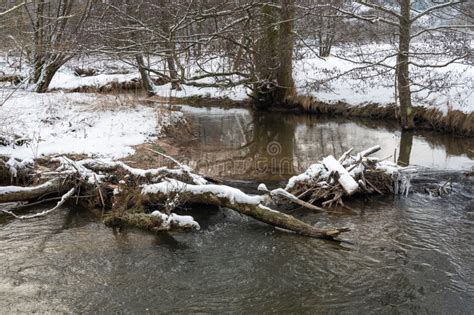 River Landscape With A Small Beaver Dam In Winter With Lots Of Snow