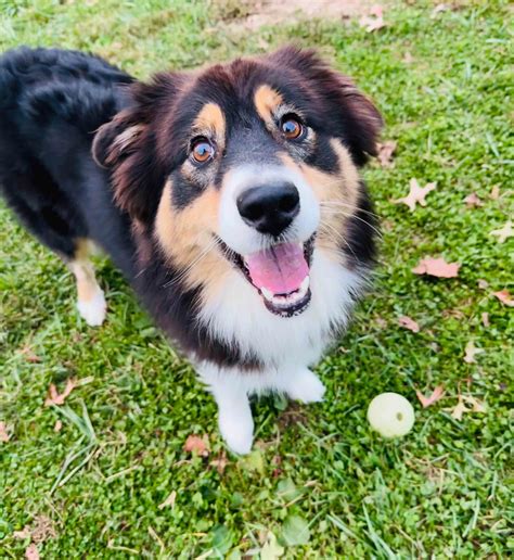 Luna Smiling At Camera Echo Rescue