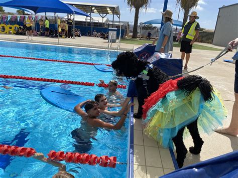 2025 Swimming Carnival Champion Bay Senior High School