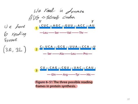 Genetic Code Genes Genomeeeeeeeeeeeeee Pdf