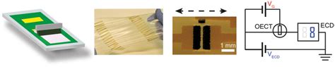 Fully Screen‐printed Stretchable Organic Electrochemical Transistors