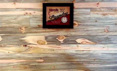 The Biology Behind The Blue Stains In Beetle Kill Pine Wood