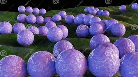 3d Rendering Of Streptococcus Bacterium Stock Illustration Illustration Of Sore Pathogen