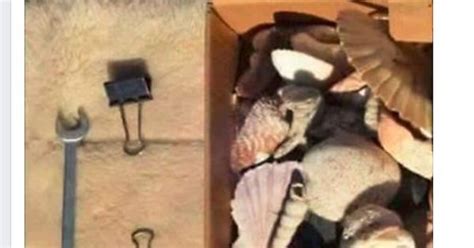 9mm With 2 Clips And A Box Of Shells Album On Imgur