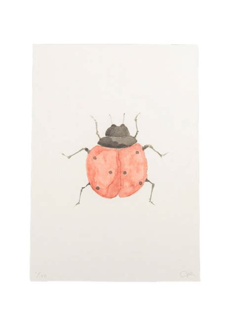 Limited Edition Ladybird Print Over The Moon