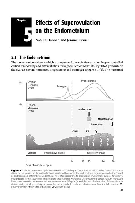 Effects Of Superovulation On The Endometrium Chapter 5 How To Prepare The Endometrium To