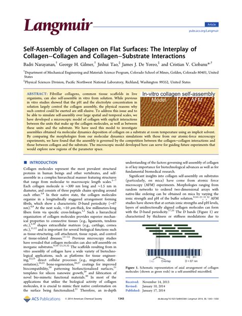 Pdf Self Assembly Of Collagen On Flat Surfaces The Interplay Of