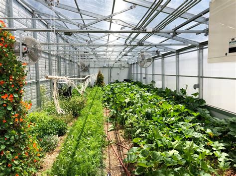 Our Educational Greenhouse