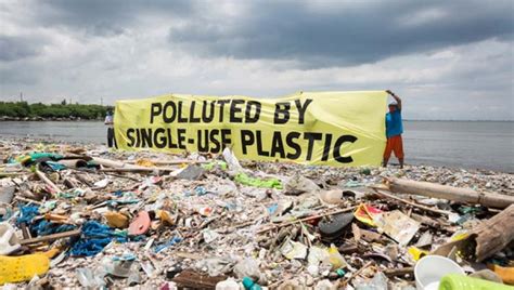 Excessive Use Of Plastics Threatens The Environment And Public Health The Asian Age Online