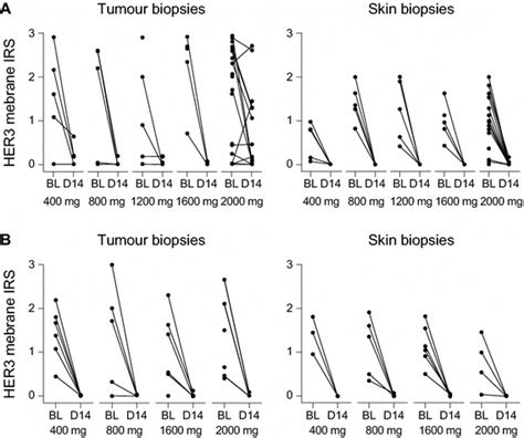 Her3 Downregulation In Formalin Fixed Paraffin Embedded Tumour And Download Scientific Diagram