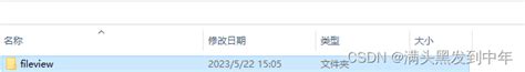 文件在线预览，支持各种文件类型，docker 离线发布kkfileview。离线docker部署kkfile Csdn博客