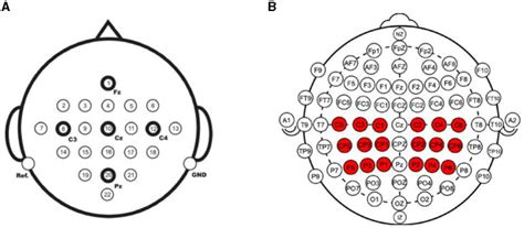 An Improved Model Using Convolutional Sliding Window Attention Network For Motor Imagery Eeg