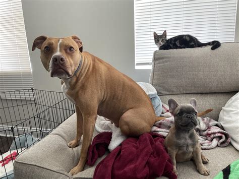 The Cutest Thing Youll See All Day R Cute