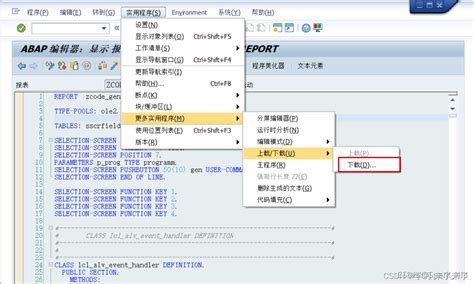 从sap上下载程序sap下载schema的程序 Csdn博客